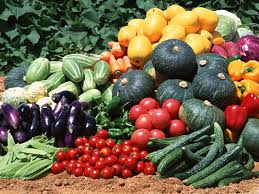 The Shelf Life of Fruits and Vegetables :Proper Storage Prevents ...