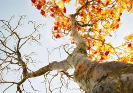 زیباترین عکس های طبیعت